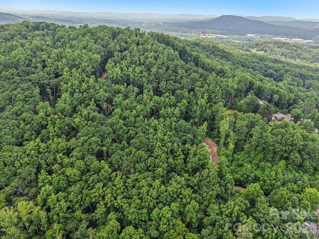Fiver Ln, Hendersonville, NC 28792