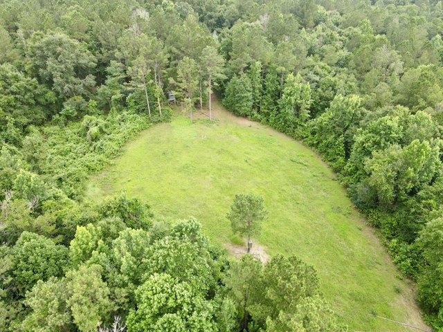 Fools Acre Rd, Jackson, AL 36545