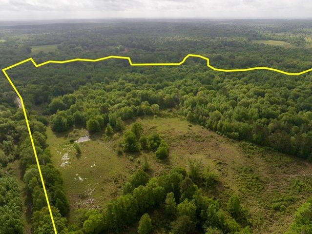 Fodice Rd, Crockett, TX 75835