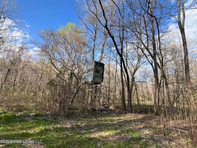 Fogg Rd, Hernando, MS 38632