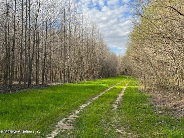 Fogg Road, Hernando, MS 38632