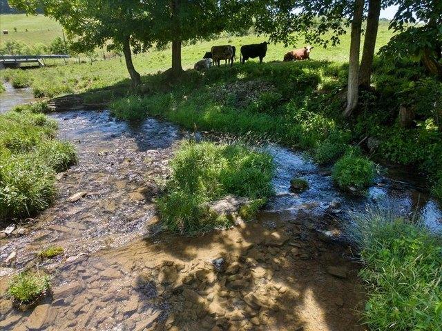 Foglesong Rd Lot 0 and Birch Grove Rd, Ceres, VA 24318