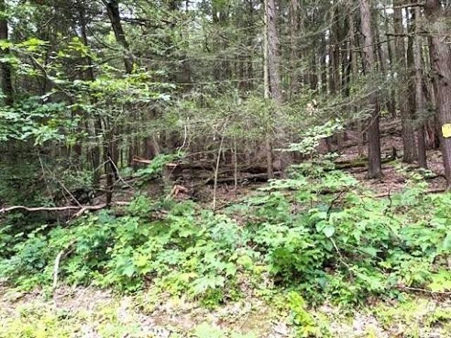 Foley Rd, Binghamton, NY 13903
