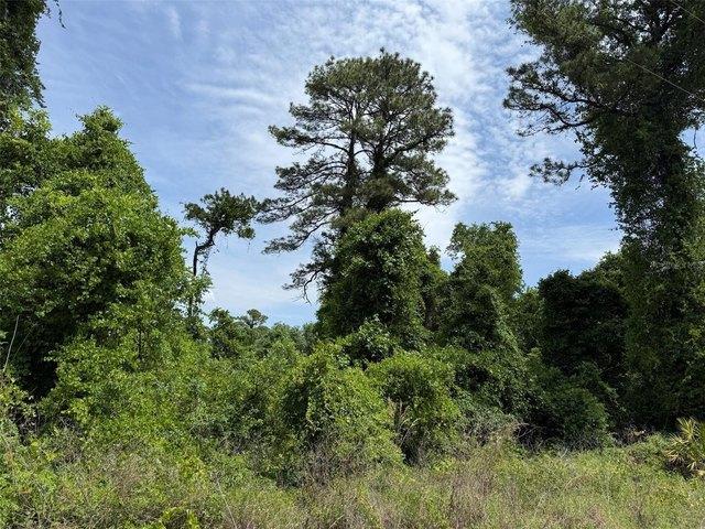 Folklore Dr, Satsuma, FL 32189