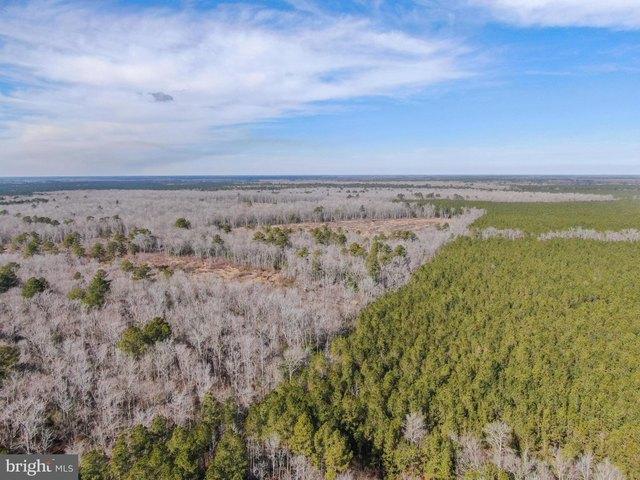 Follow Ditch Rd, Princess Anne, MD 21853