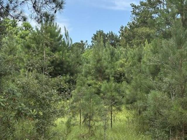 Fop Lodge Rd, Andalusia, AL 36421