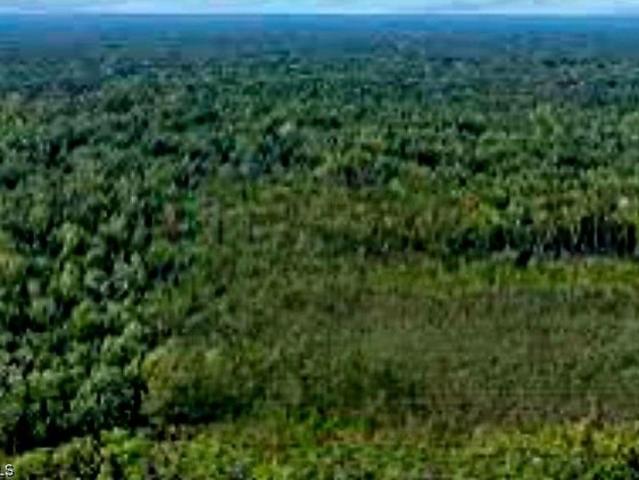 Fort Meade, FL 33841