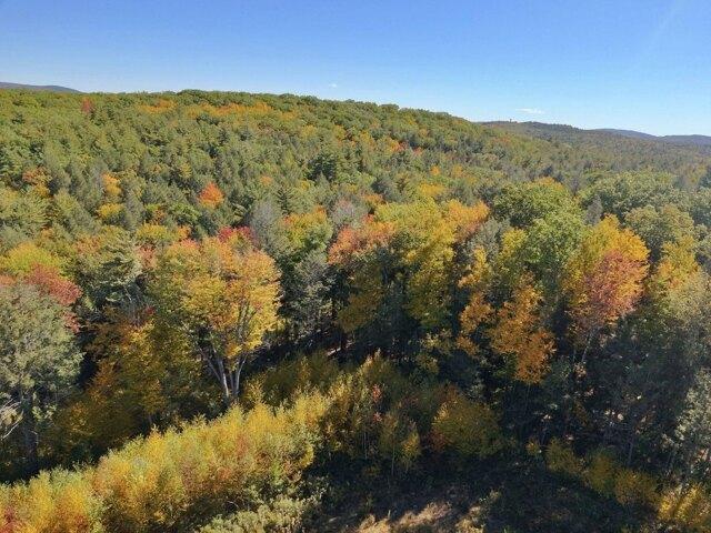 Fort Dummer Hts Lot,brattleboro, Plot For Sale