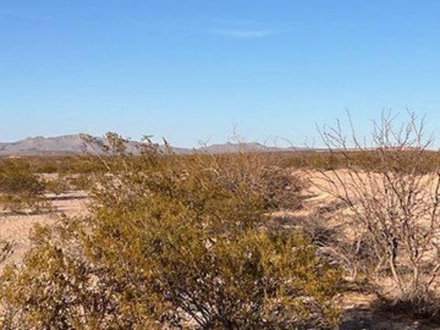 Fort Hancock, TX 79839