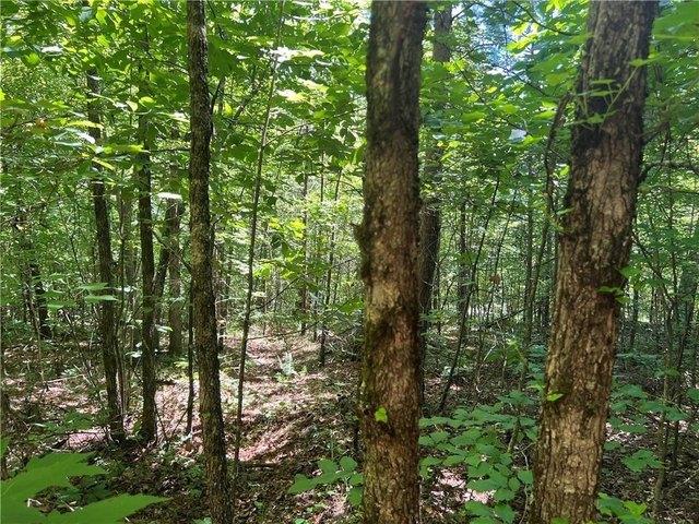 Fortner Rd, Ball Ground, GA 30107
