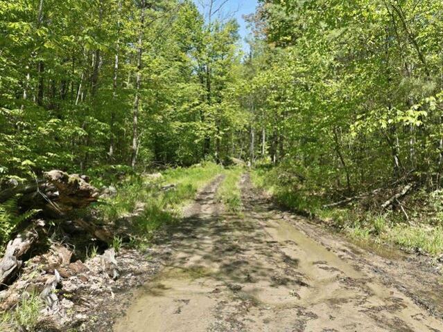 Fortsalong Rd Lot L, Meredith, Plot For Sale