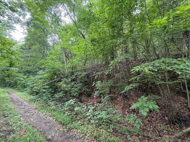 Fortunato Dr, Baneberry, TN 37890