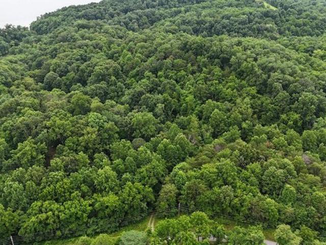 Fortunato Dr, White Pine, TN 37890
