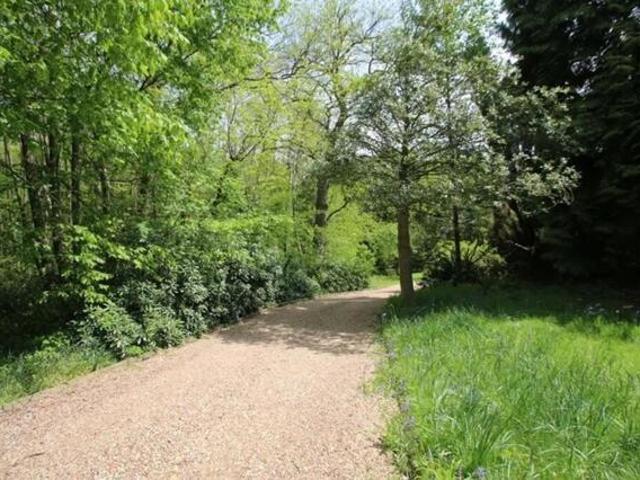 For Sale 4 Bedroom House Ashford Kent DS99437340