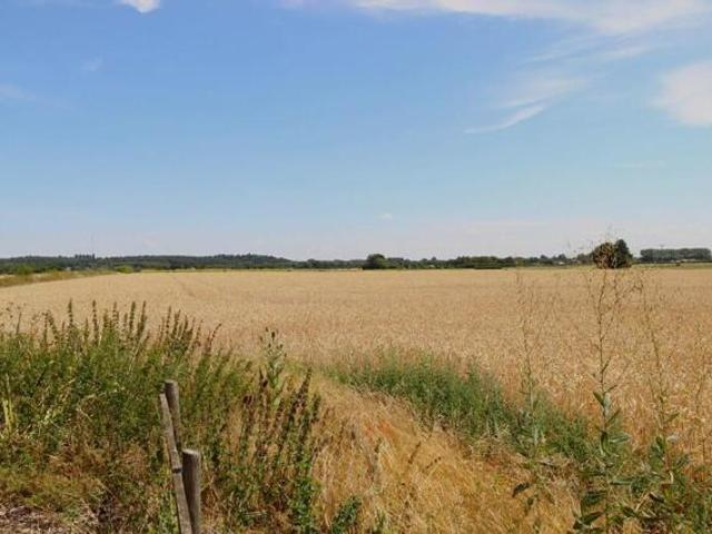 For Sale 4 Bedroom House Vinegar Hill Vinegar Hill DS99203915