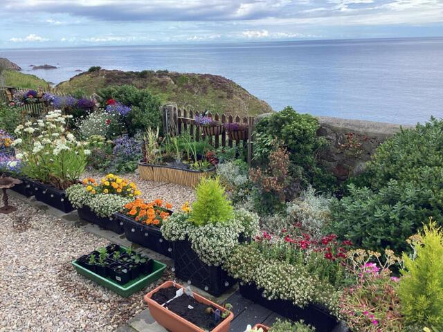 For Sale 5 Bedroom House Moray Moray DS100578988