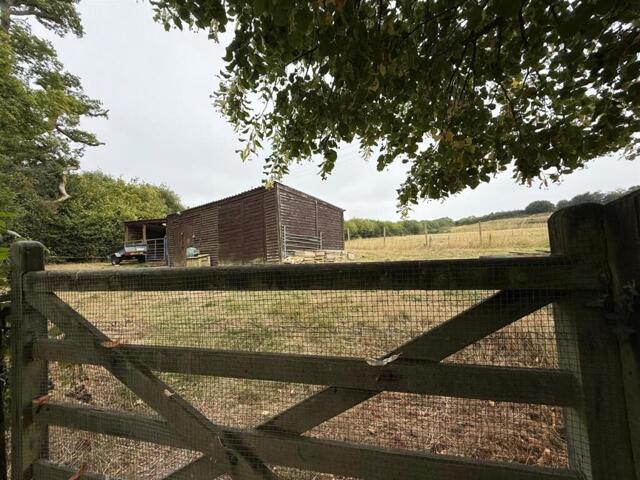 For Sale 6 Bedroom House Lytchett Matravers Lytchett Matravers DS100342909