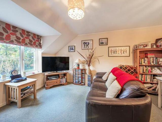 For Sale 1 Bedroom Shared Living/roommate Alton Hampshire DLS99840533