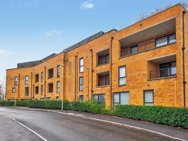 For Sale 1 Bedroom Shared Living/roommate Basingstoke Hampshire DS99203972