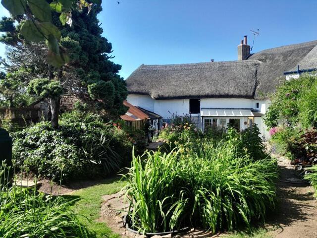 For Sale 2 Bedroom House Hatherleigh Hatherleigh DS98765985