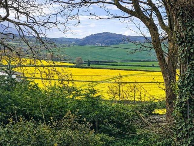 For Sale 3 Bedroom Bungalow Minehead Somerset DS101677437