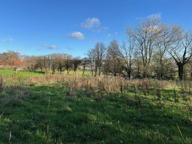 For Sale Land Barnstaple Devon DLS99608585
