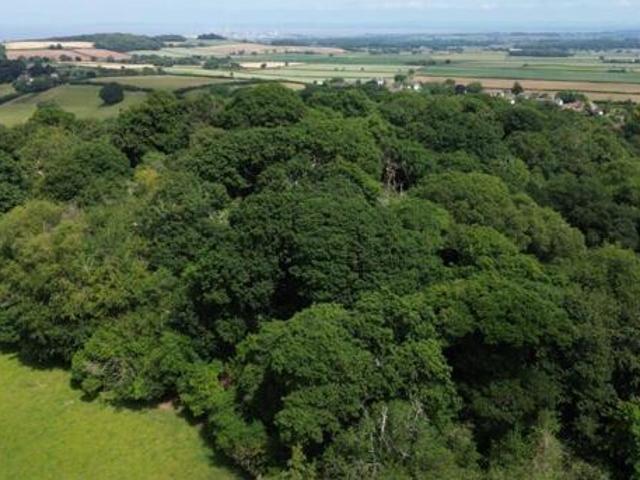 For Sale Land Bridgwater Somerset DS98765642