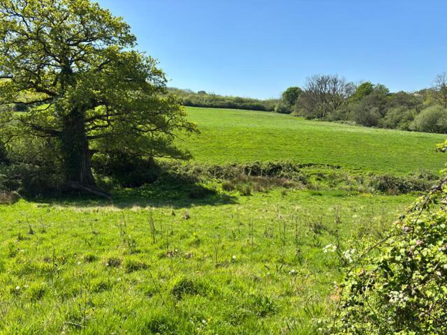 For Sale Land Carmarthen Carmarthenshire DS100502838