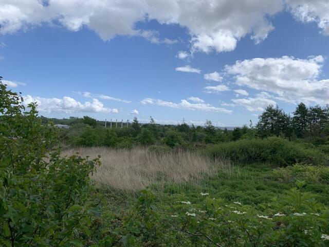 For Sale Land Carmarthenshire Carmarthenshire DS98648785