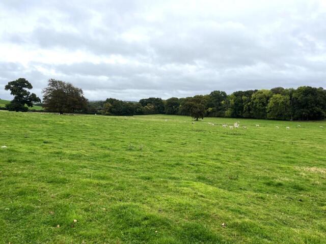 For Sale Land Devon Devon DLS98968833