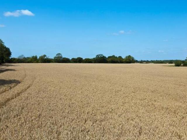 For Sale Land Eye Eye DLS98503578
