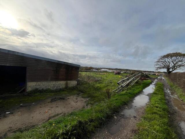 For Sale Land Hailsham East Sussex DLS99236981