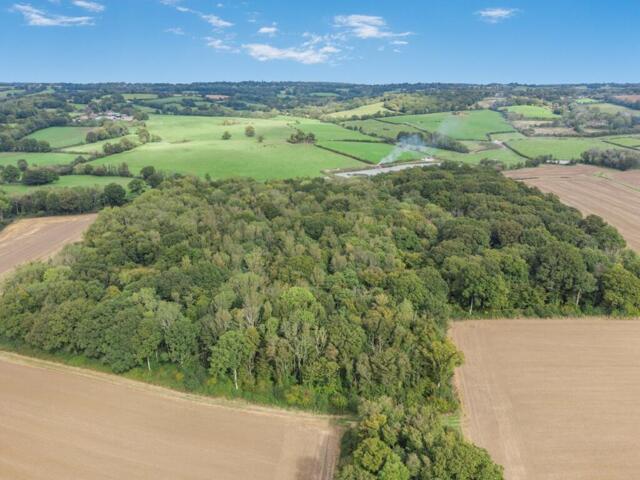 For Sale Land Hawkhurst Kent DS100502898