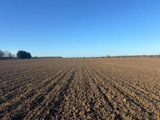 For Sale Land Lincoln Lincolnshire DS101316483