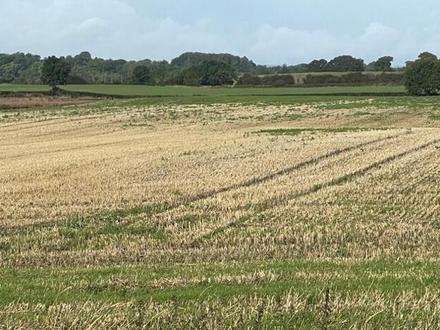 For Sale Land Shropshire Shropshire DLS98648868