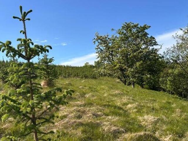 For Sale Land South Ayrshire South Ayrshire DS100366118
