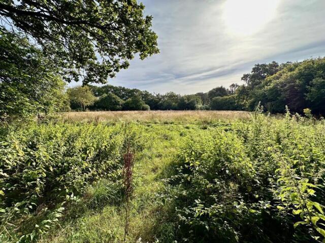 For Sale Land Wimborne Dorset DLS99475976