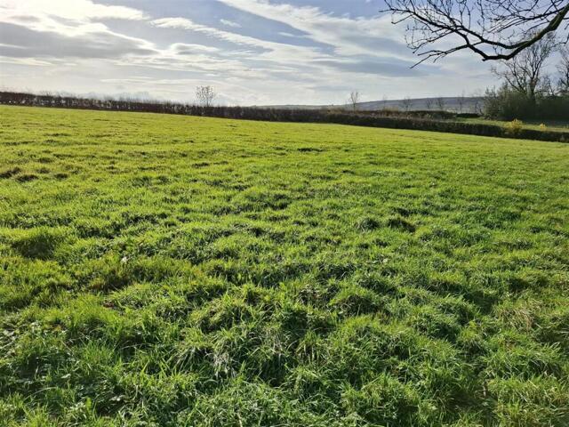 For Sale Land Winkhill Winkhill DLS99986181