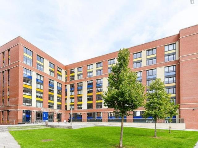 For Rent 40 Bedroom Shared Living/roommate Glasgow Glasgow DS90563994