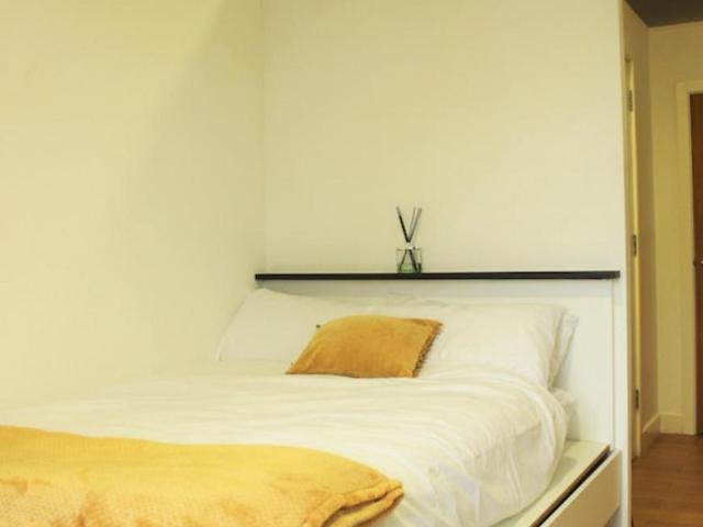 For Rent 40 Bedroom Shared Living/roommate Leicester Leicester DS90561675