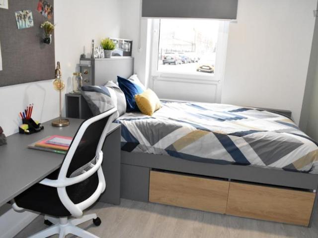 For Rent 40 Bedroom Shared Living/roommate Leicester Leicester DS90561754