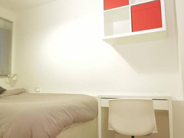 For Rent 4 Bedroom Shared Living/roommate London London DLS101846742