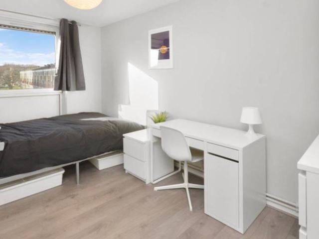 For Rent 4 Bedroom Shared Living/roommate London London DLS101849101