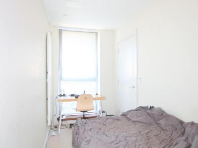For Rent 4 Bedroom Shared Living/roommate London London DLS90563696