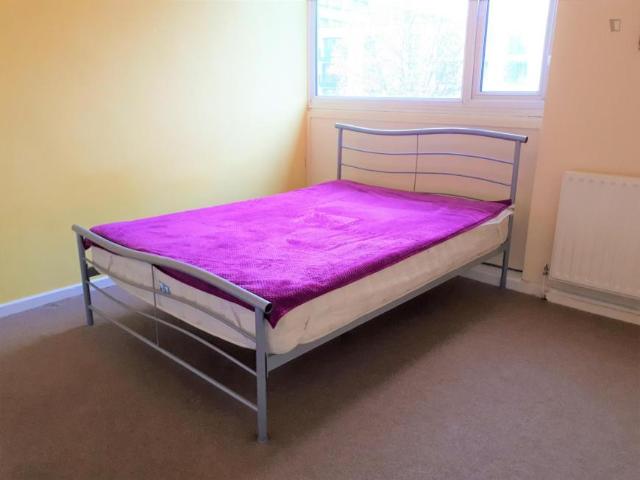 For Rent 4 Bedroom Shared Living/roommate London London DLS90563703