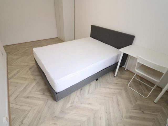 For Rent 5 Bedroom Shared Living/roommate London London DS90562049