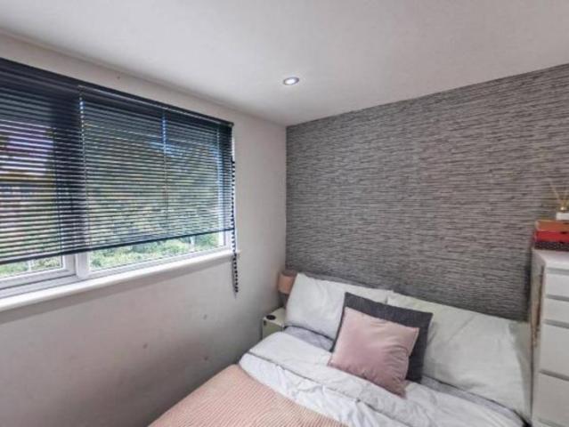 For Rent 7 Bedroom Shared Living/roommate Birmingham Birmingham DS90563822