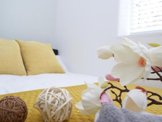 For Rent 7 Bedroom Shared Living/roommate London London DS90562154