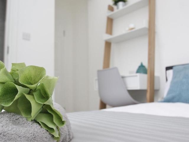 For Rent 7 Bedroom Shared Living/roommate London London DS90562271