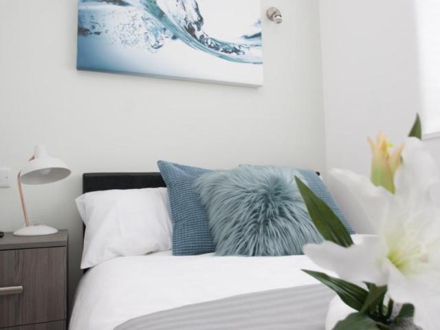 For Rent 7 Bedroom Shared Living/roommate London London DS90562217